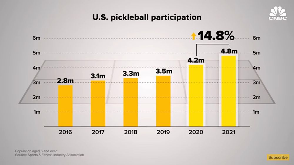 New Study Reveals 36.5 Million People Played Pickleball Last Year